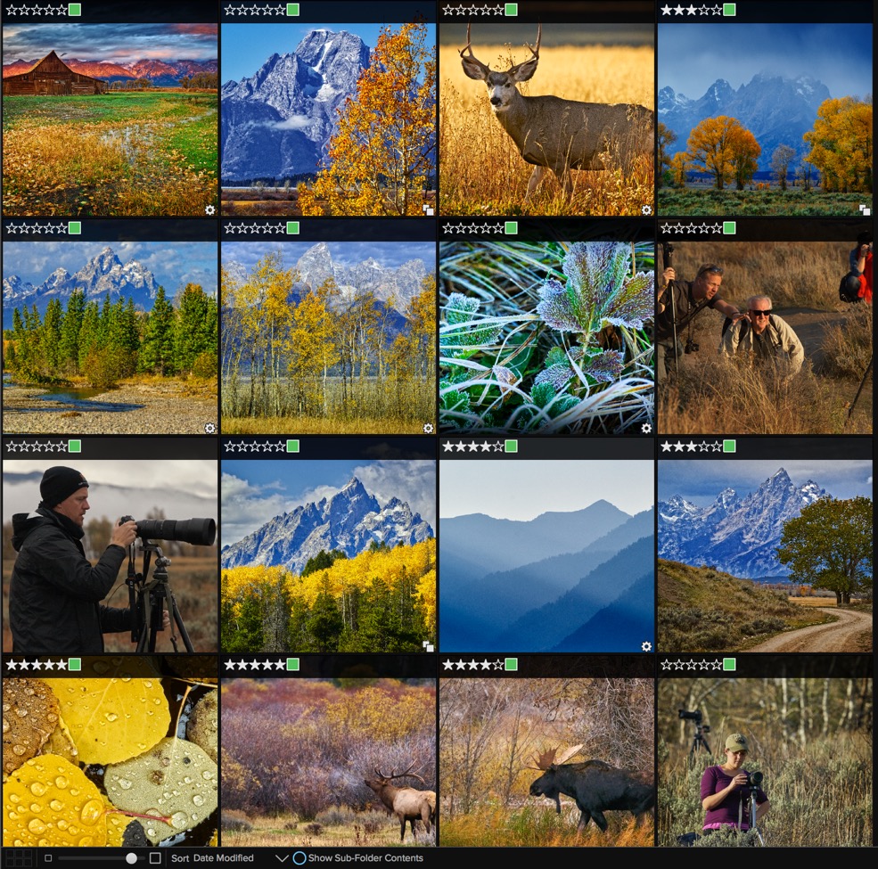 ON1 Photo 10 Review - Part 1 of 2